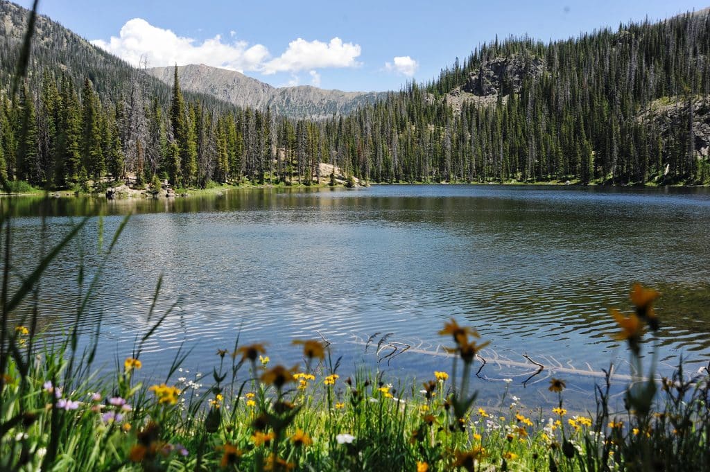 Trail of the week: Gold Creek Lake (with video) | SteamboatToday.com